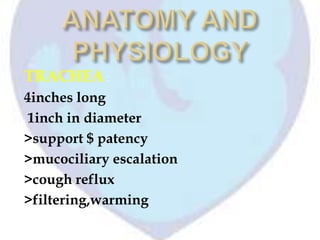 Tracheo Esophageal Fistula(TEF) | PPTX