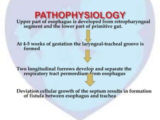 Tracheo Esophageal Fistula(TEF) | PPTX