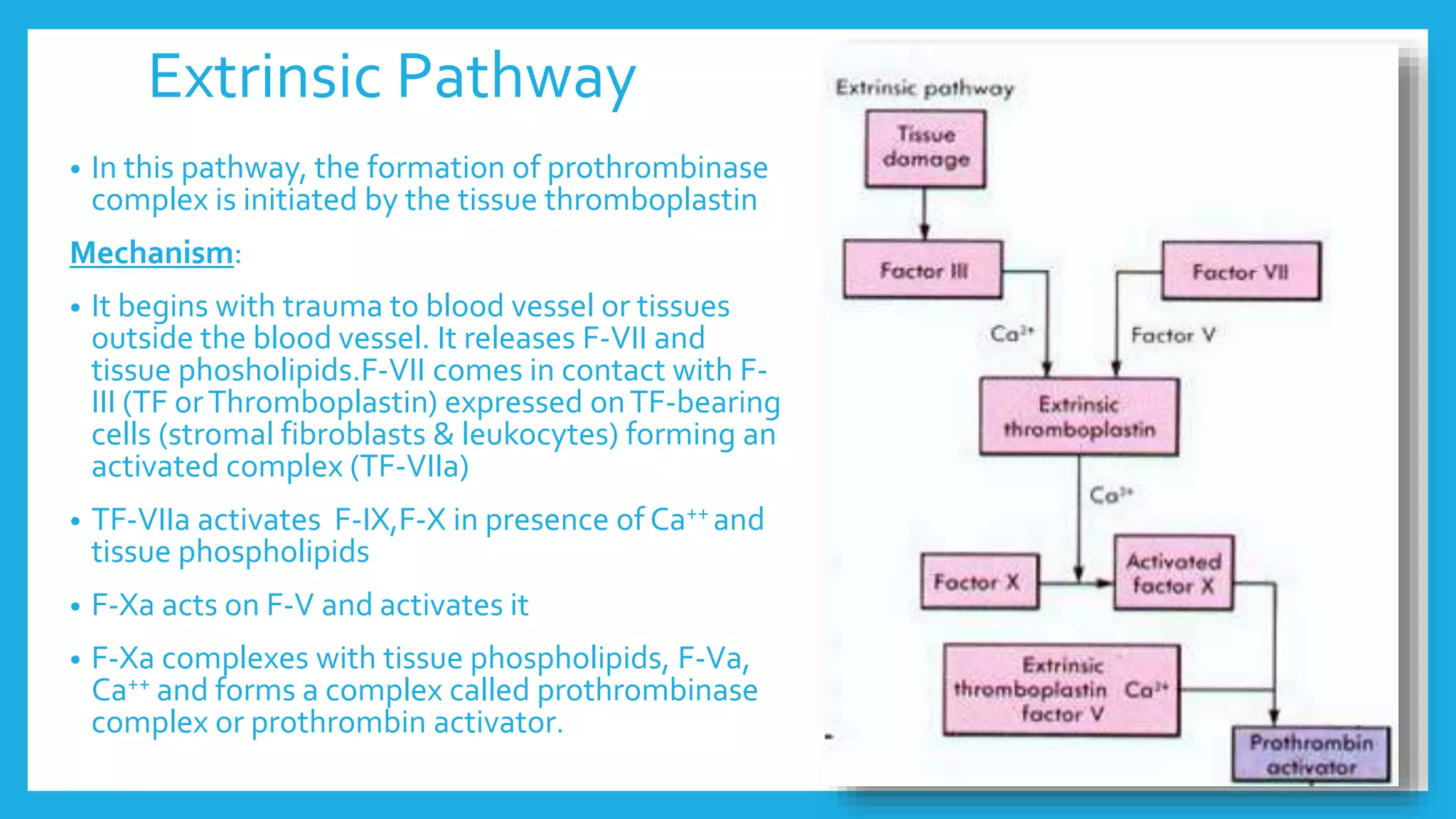 TEG - Thromboelastography | PPTX