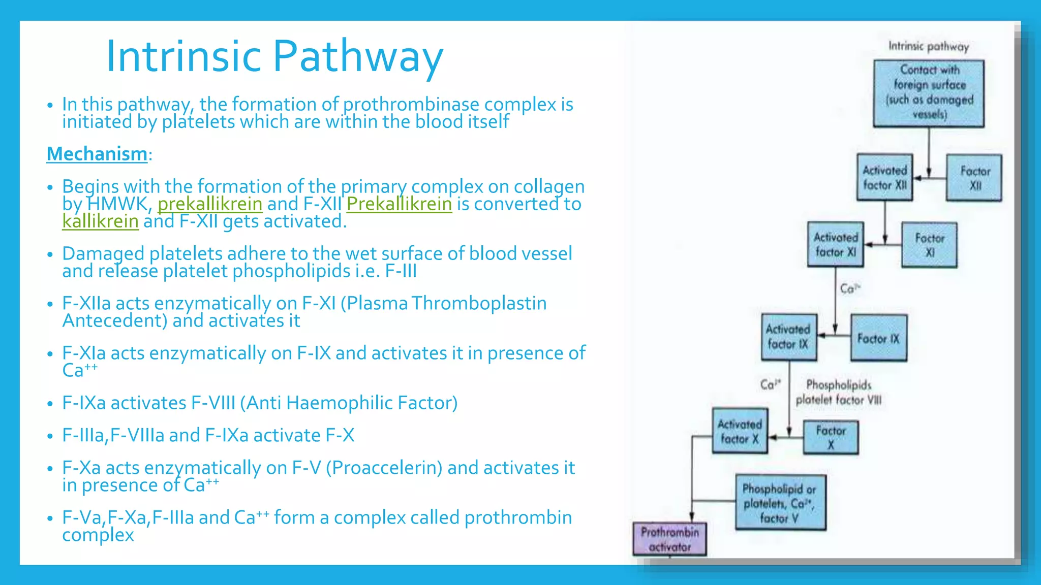TEG - Thromboelastography | PPTX