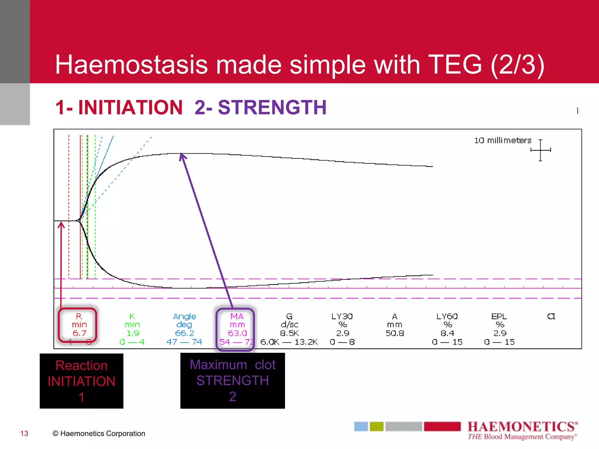 TEG 6s presentation | PPTX