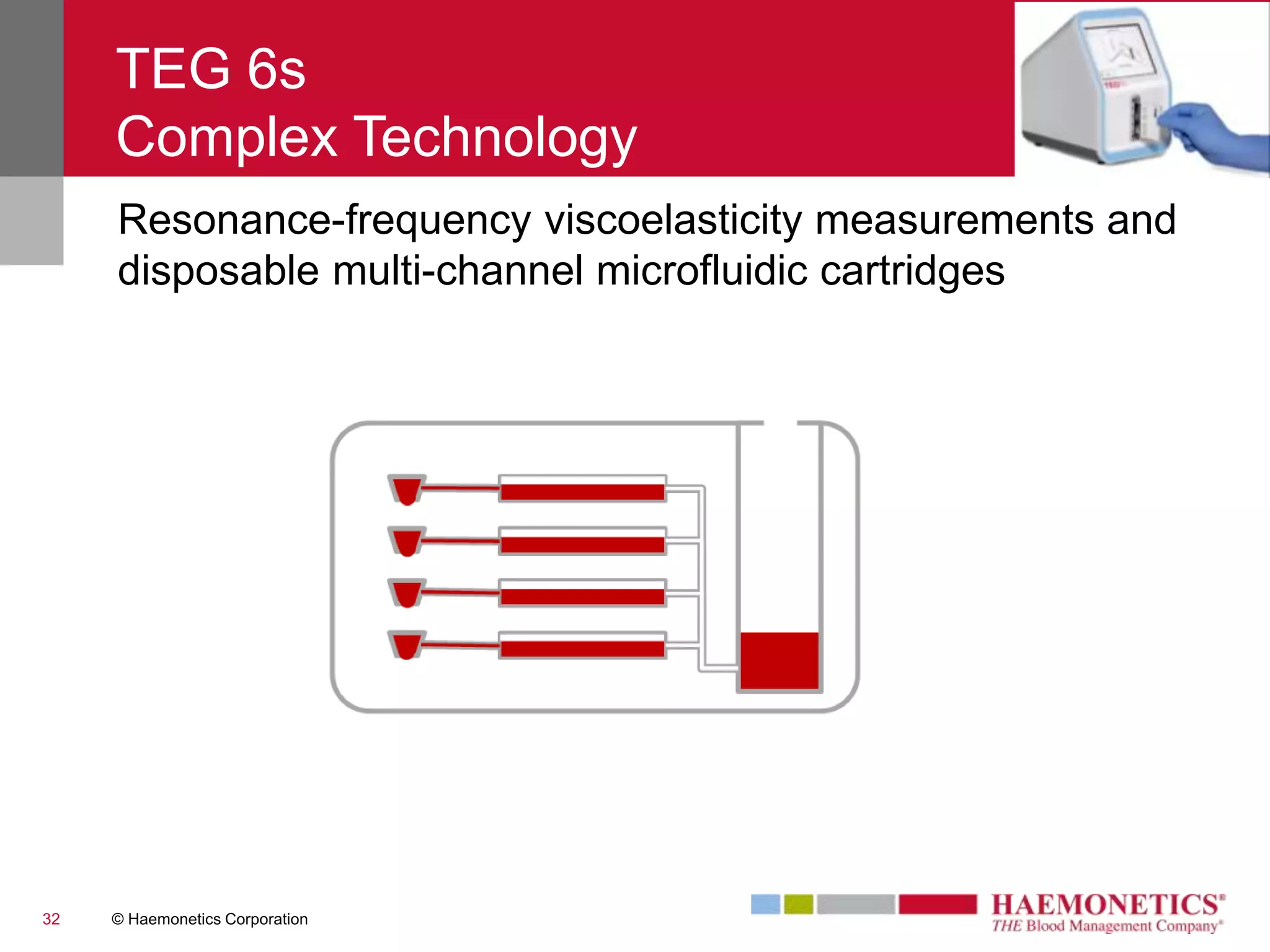 TEG 6s presentation | PPTX