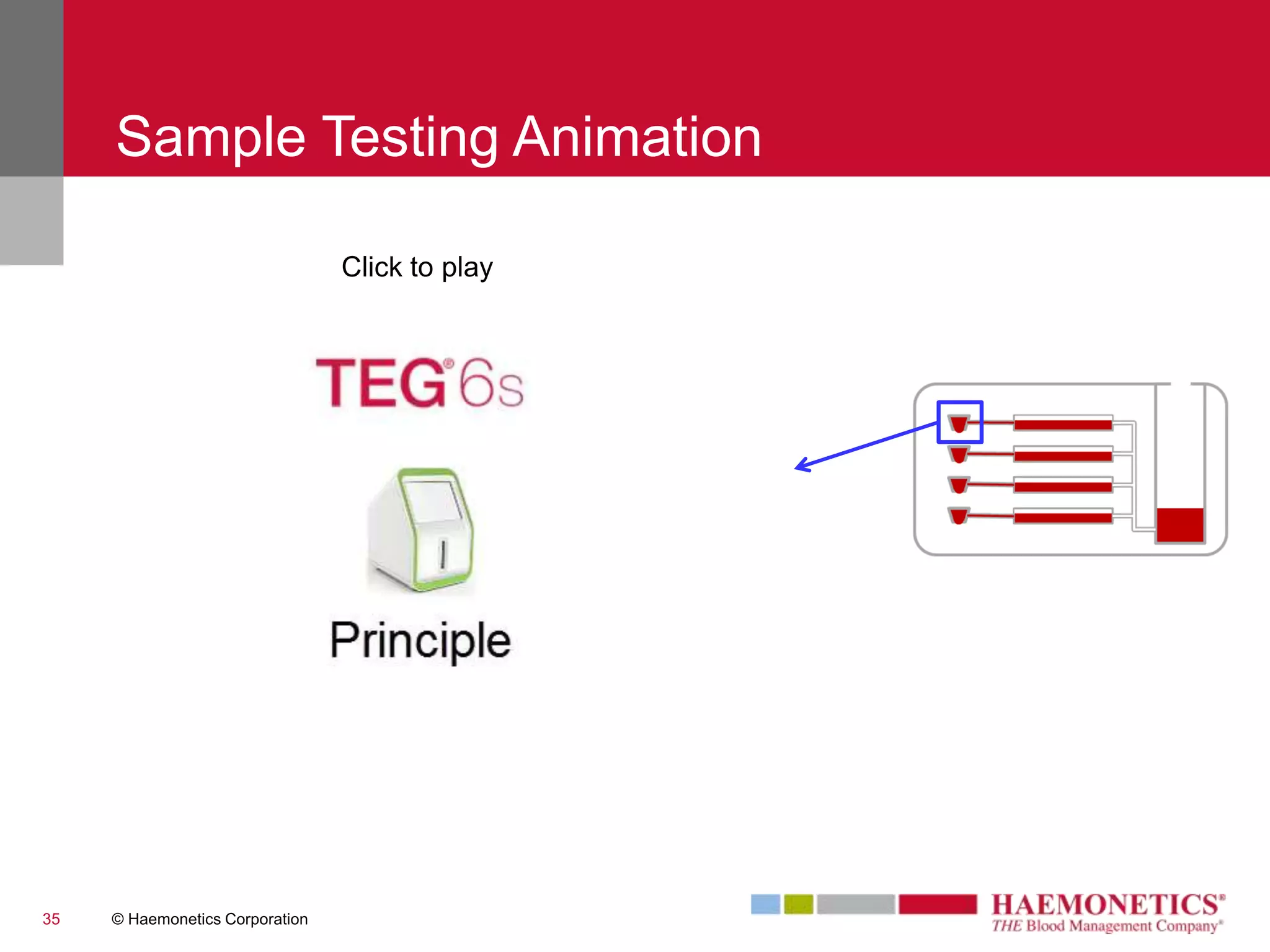 TEG 6s presentation | PPTX