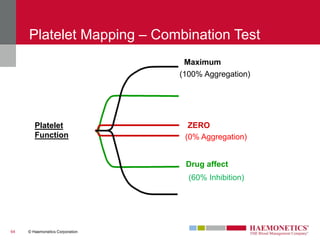 TEG 6s presentation | PPT