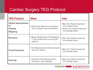 TEG 6s presentation | PPT