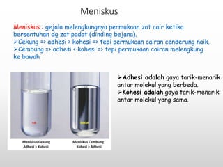 Tegangan Antar Muka & Tegangan Permukaan 2020 | PPT