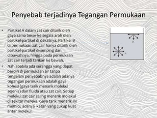 Tegangan permukaan | PPTX