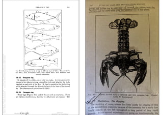Tegging (1).pdf