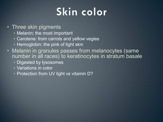 Tegumentary system english medical | PPT