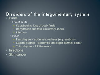 Tegumentary system english medical | PPT