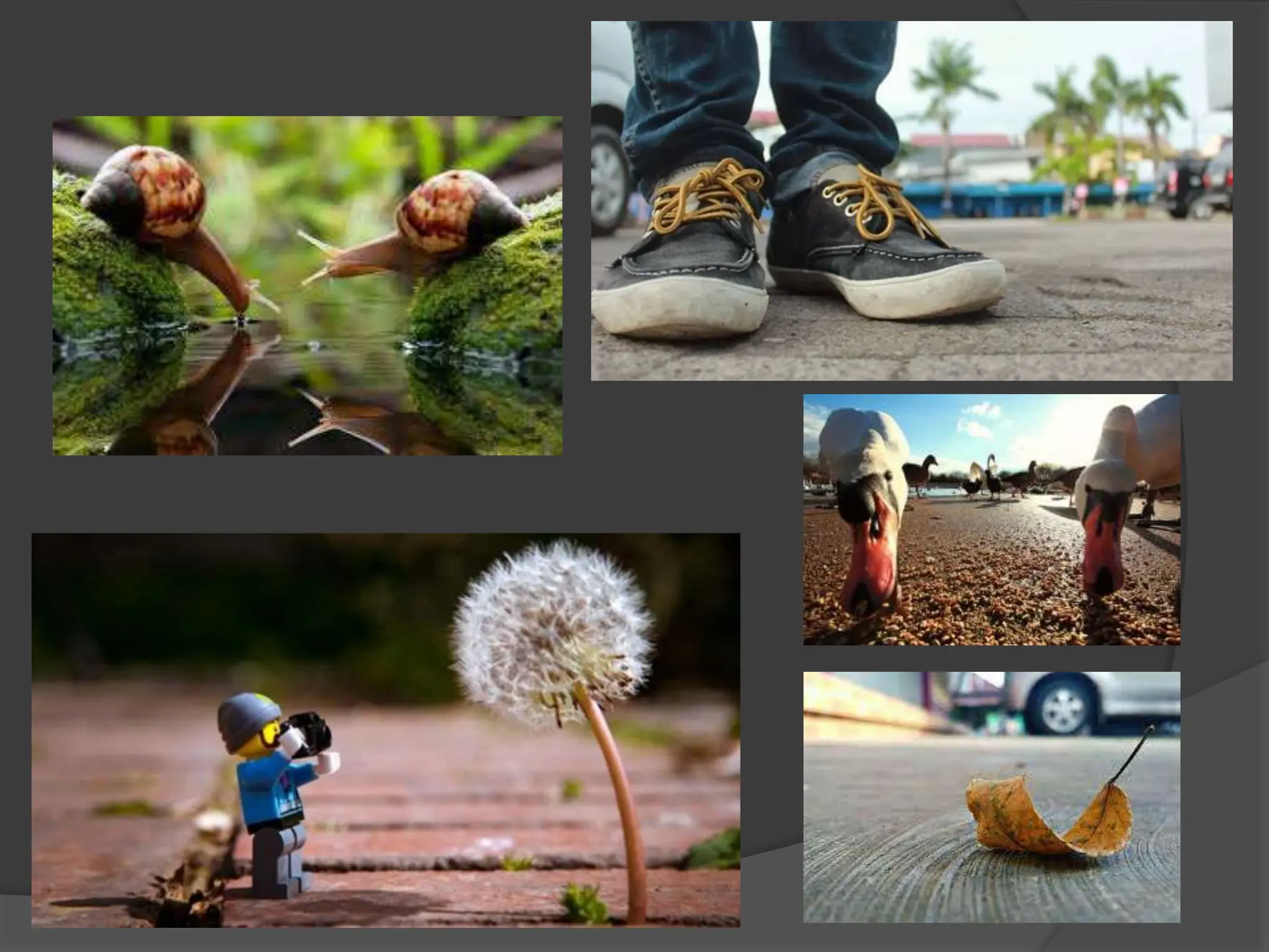 TEHNIK PENGAMBILAN GAMBAR DALAM FOTOGRAFI.pptx