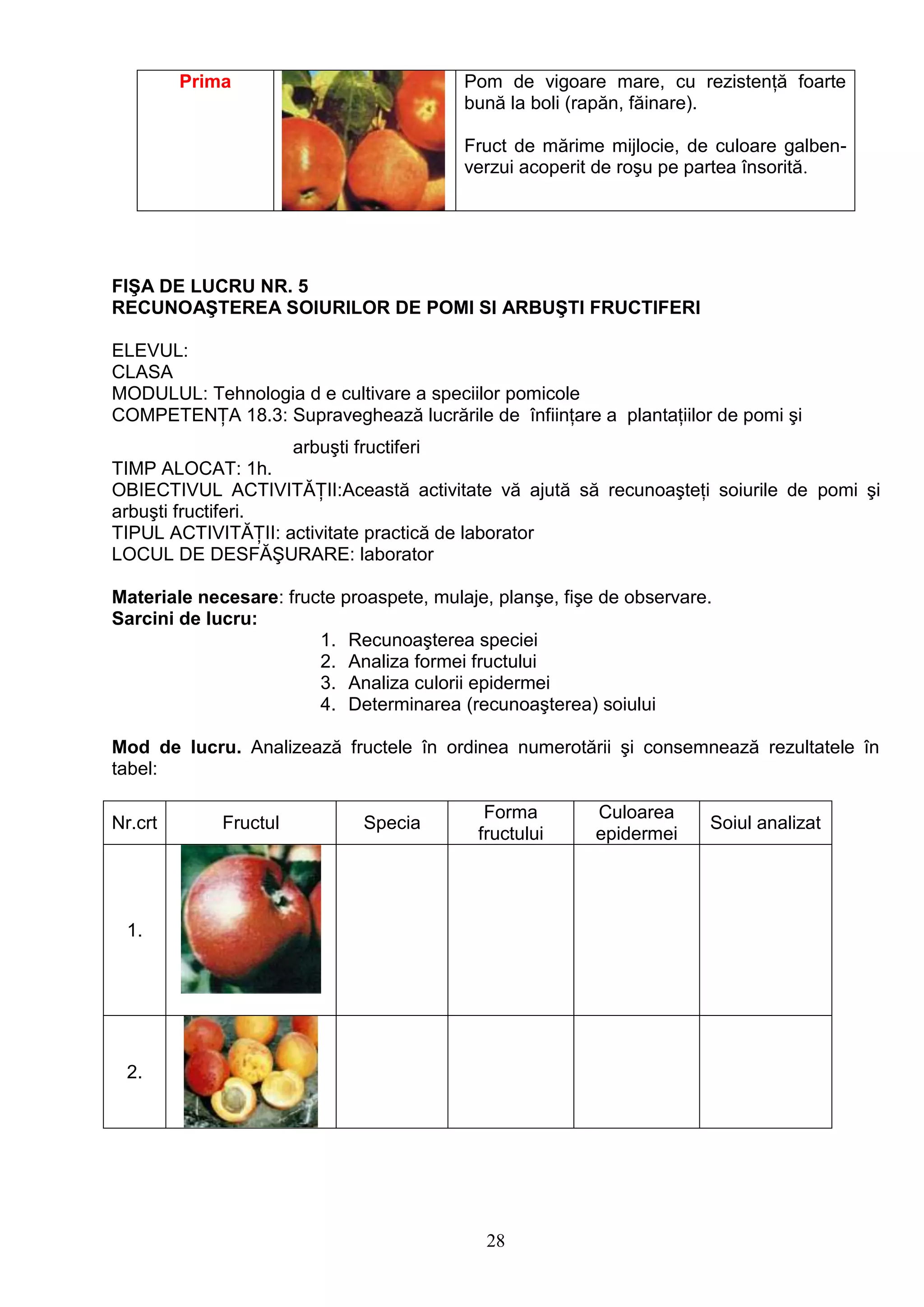Tehnologia de cultivare a speciilor pomicole | DOCX