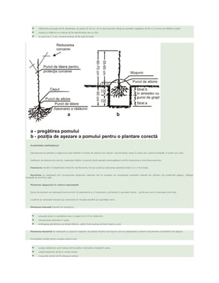 Tehnologii de plantare pomi fructiferi | DOCX