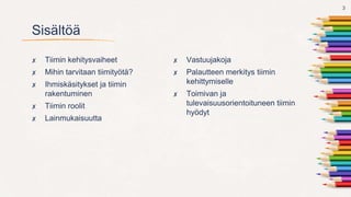 Toimiva ja tehokas tiimi | PPTX