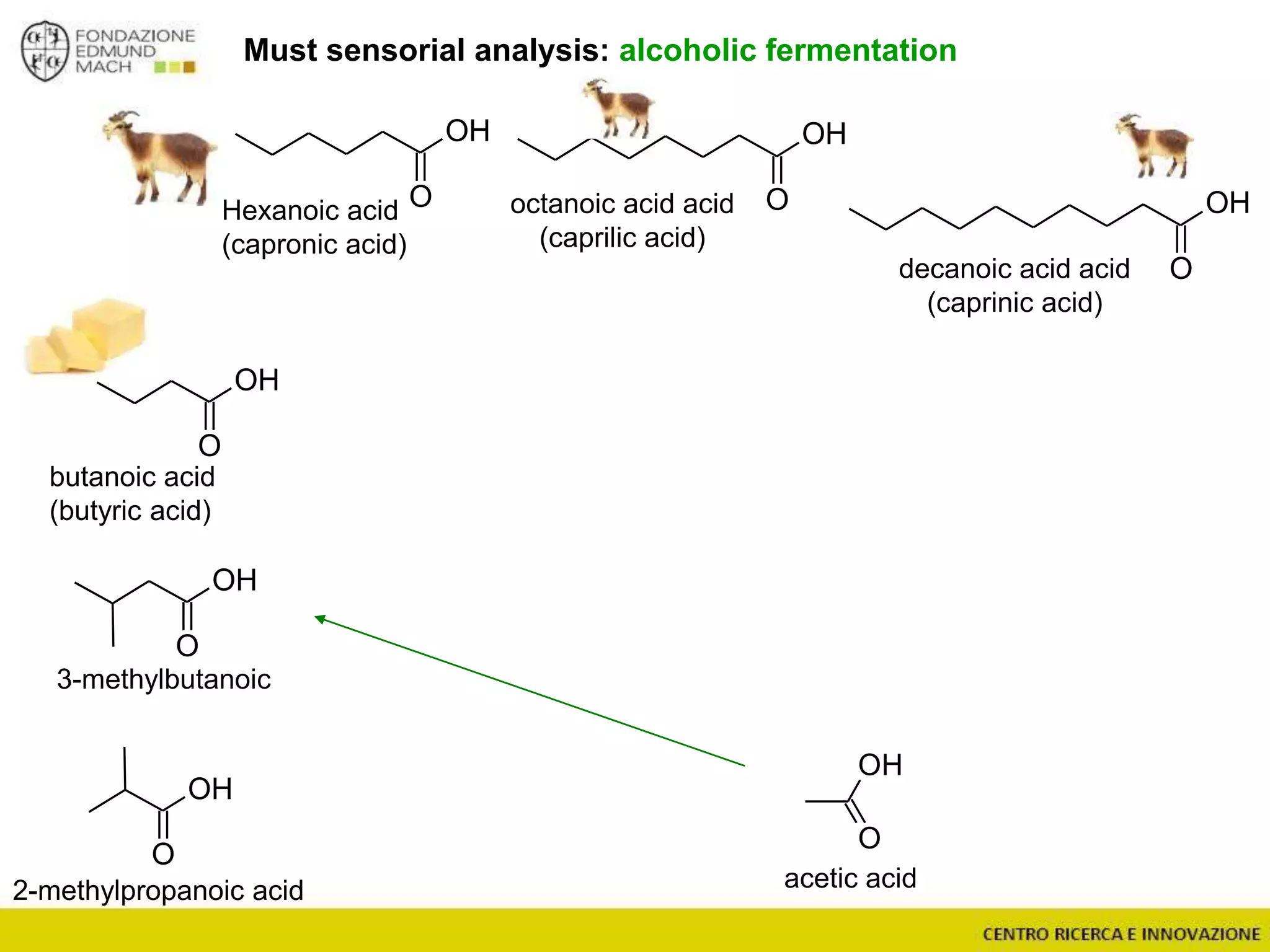 Wine Chemistry | PPTX