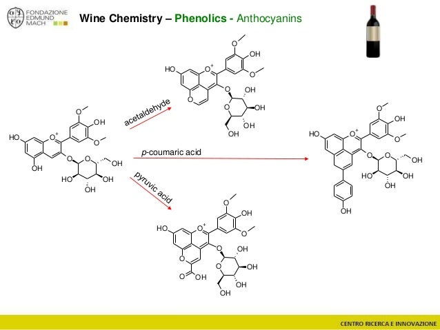 Wine Chemistry