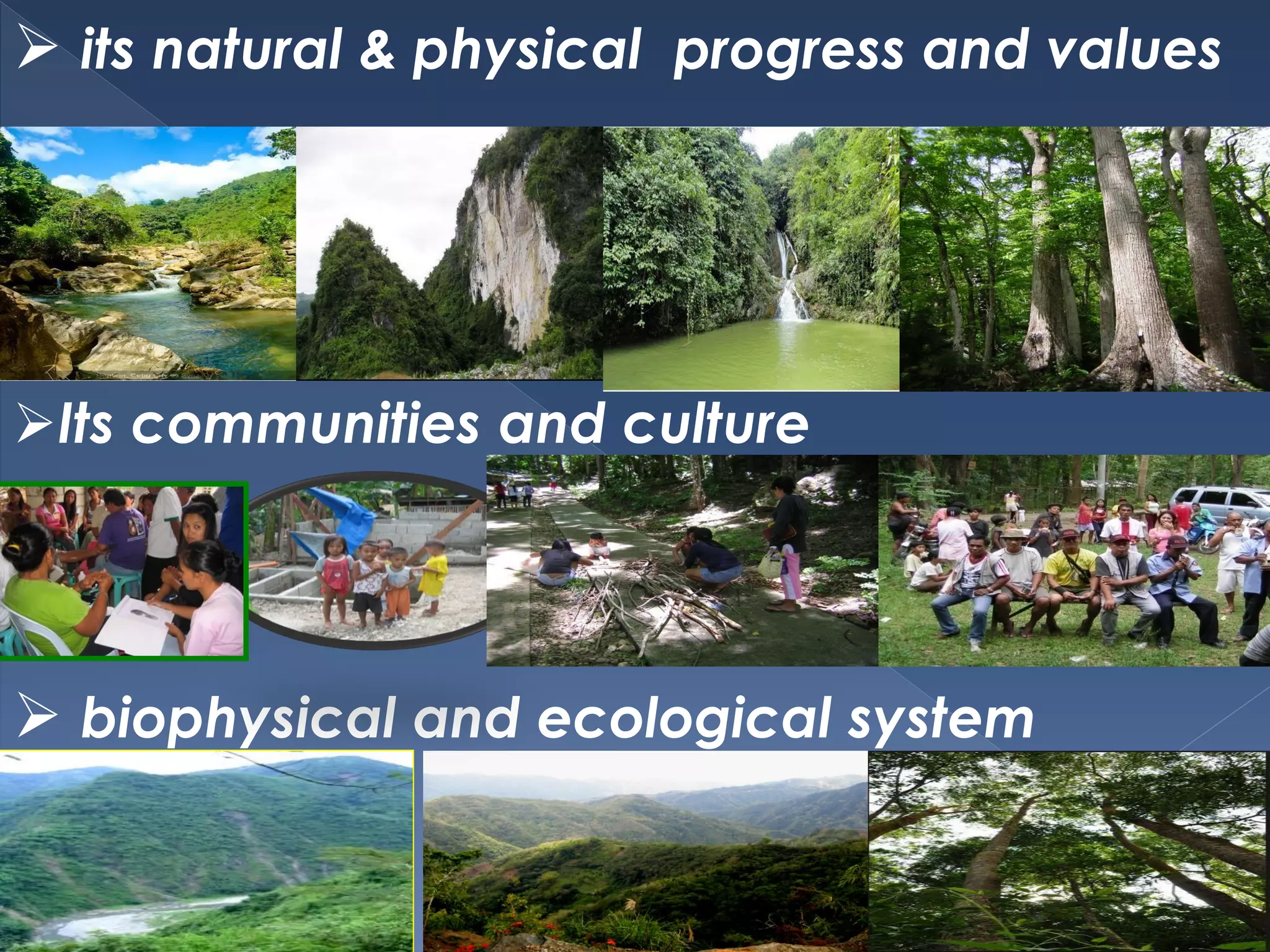 Central Cebu Protected Landscape | PDF