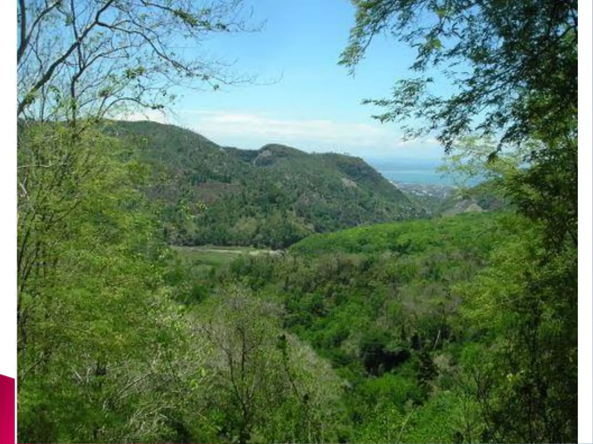 Central Cebu Protected Landscape | PDF