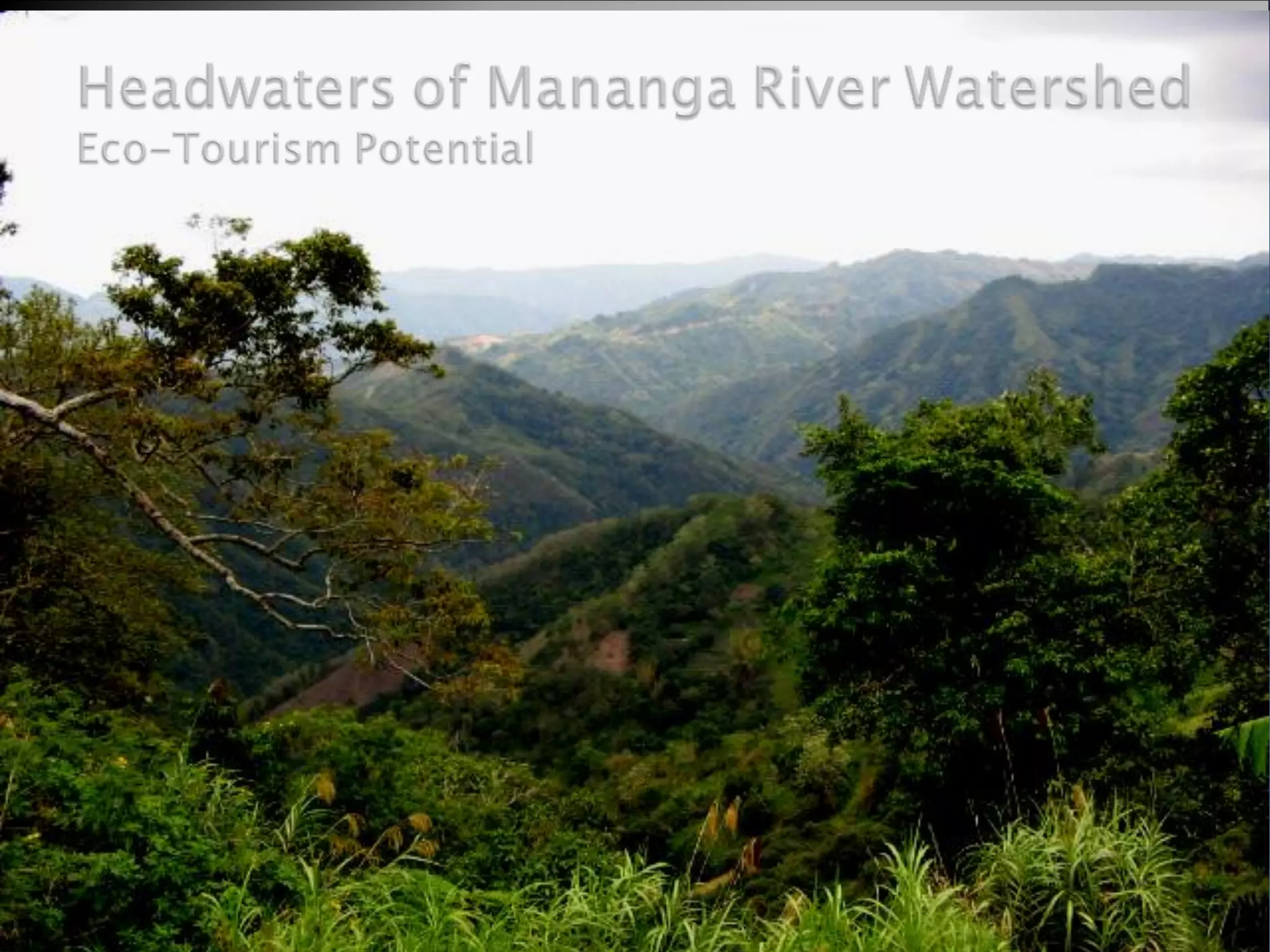 Central Cebu Protected Landscape | PDF