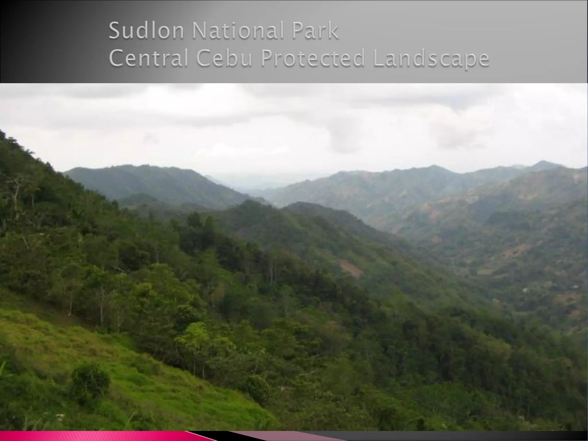 Central Cebu Protected Landscape | PDF