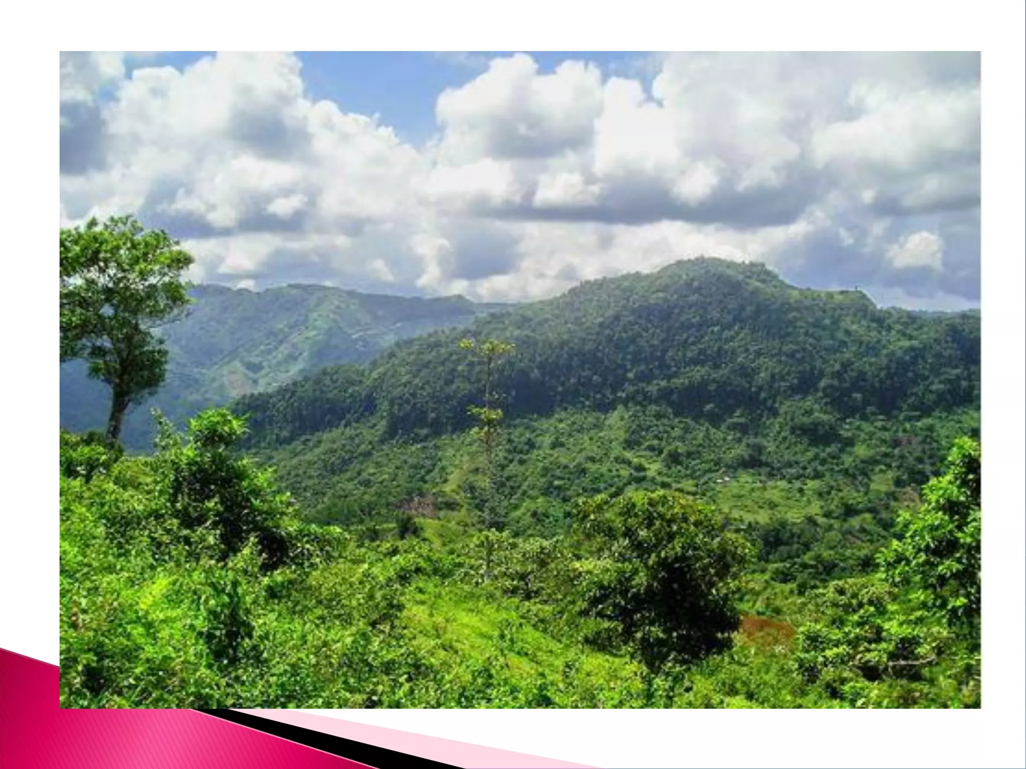 Central Cebu Protected Landscape | PDF