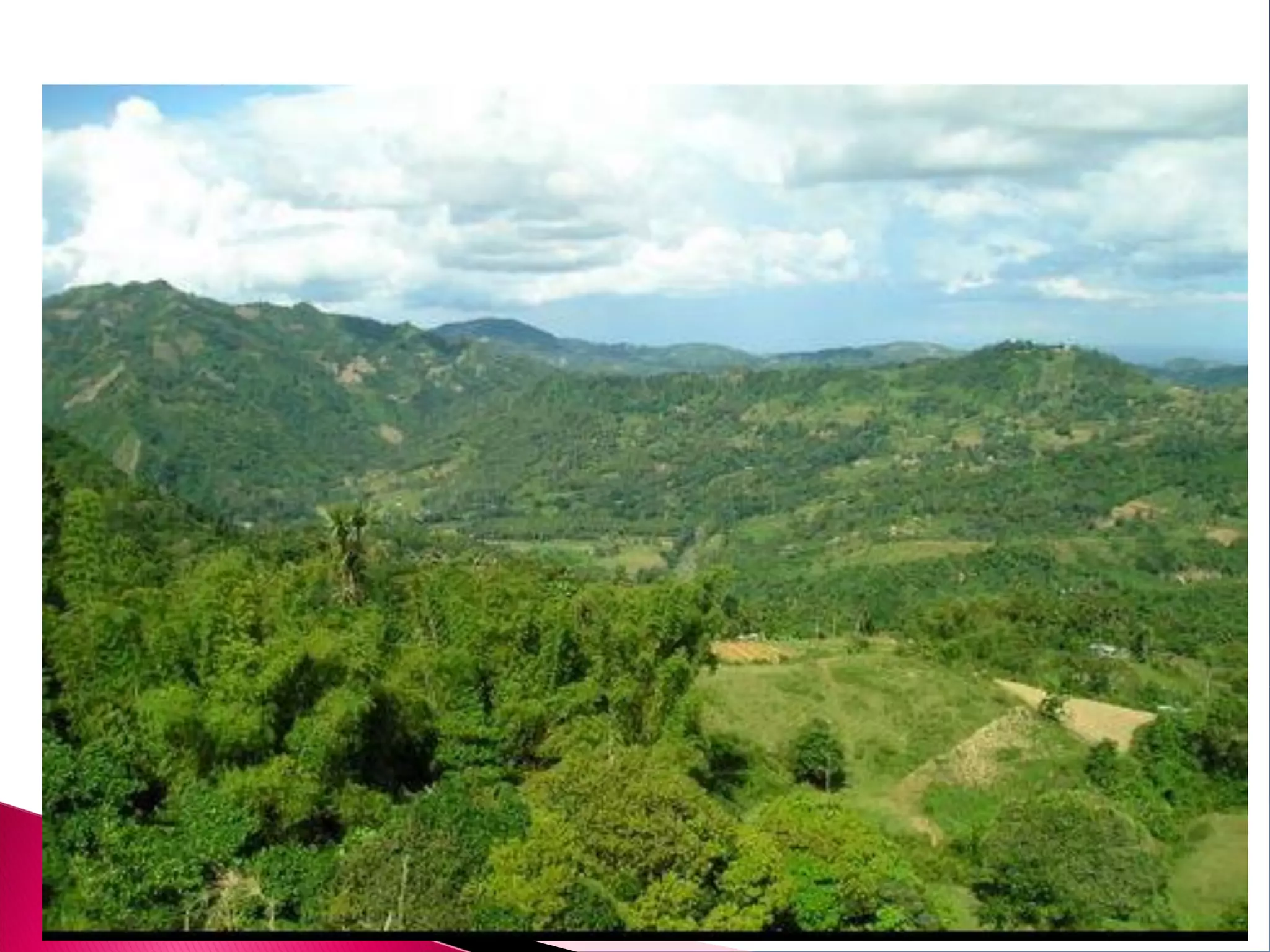Central Cebu Protected Landscape | PDF