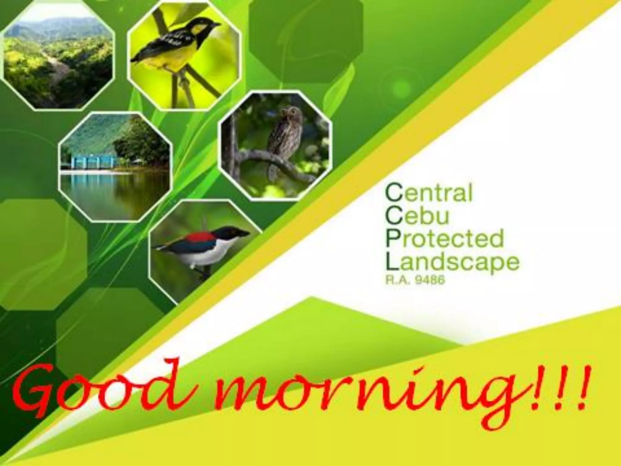Central Cebu Protected Landscape | PDF