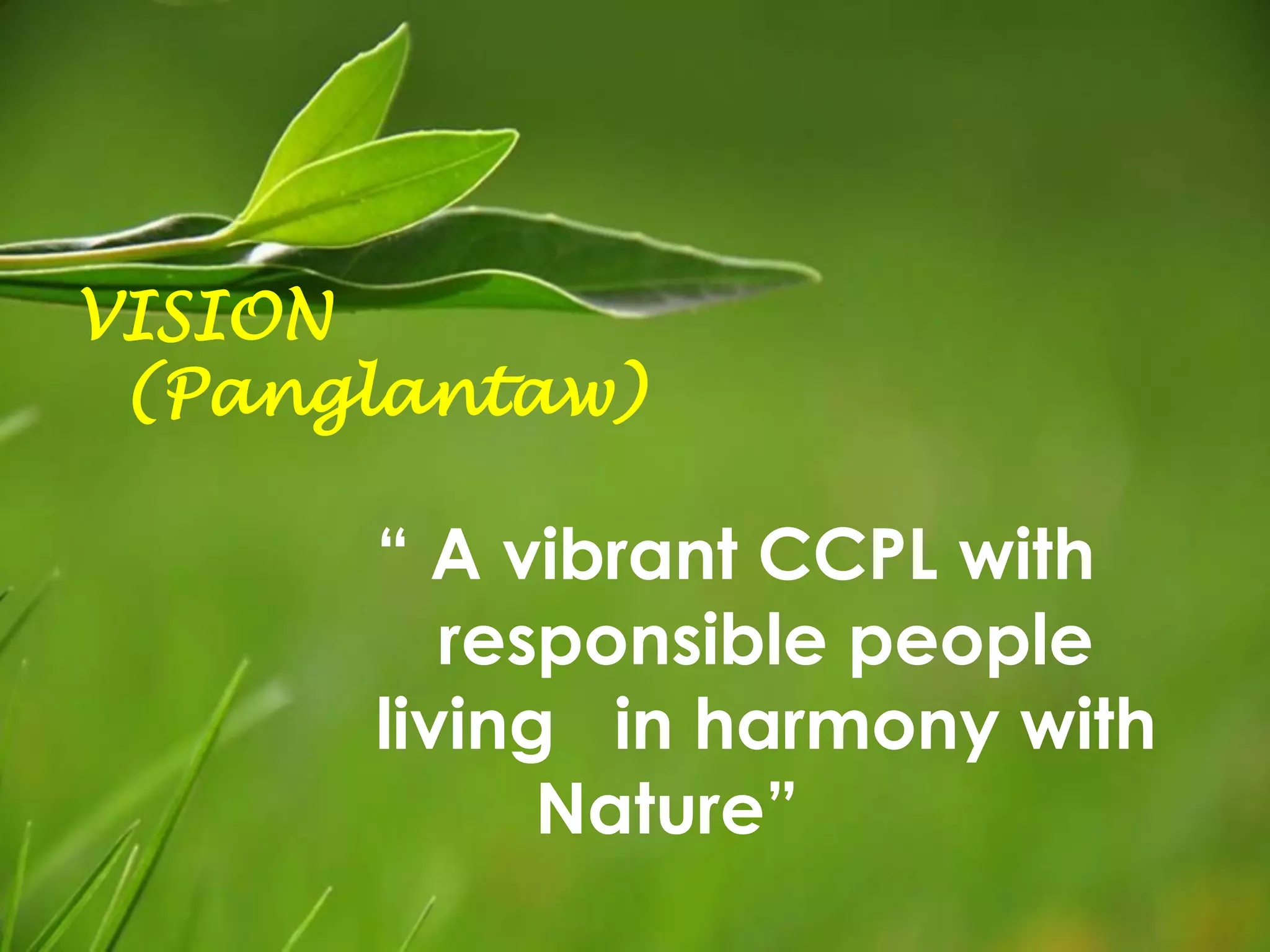 Central Cebu Protected Landscape | PDF