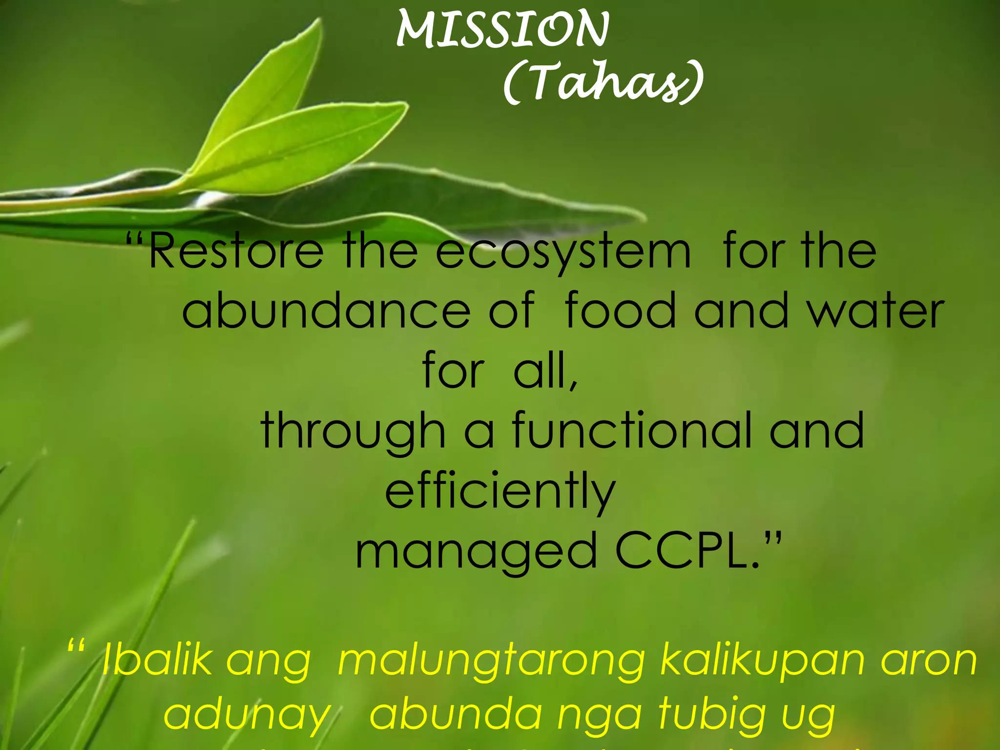 Central Cebu Protected Landscape | PDF