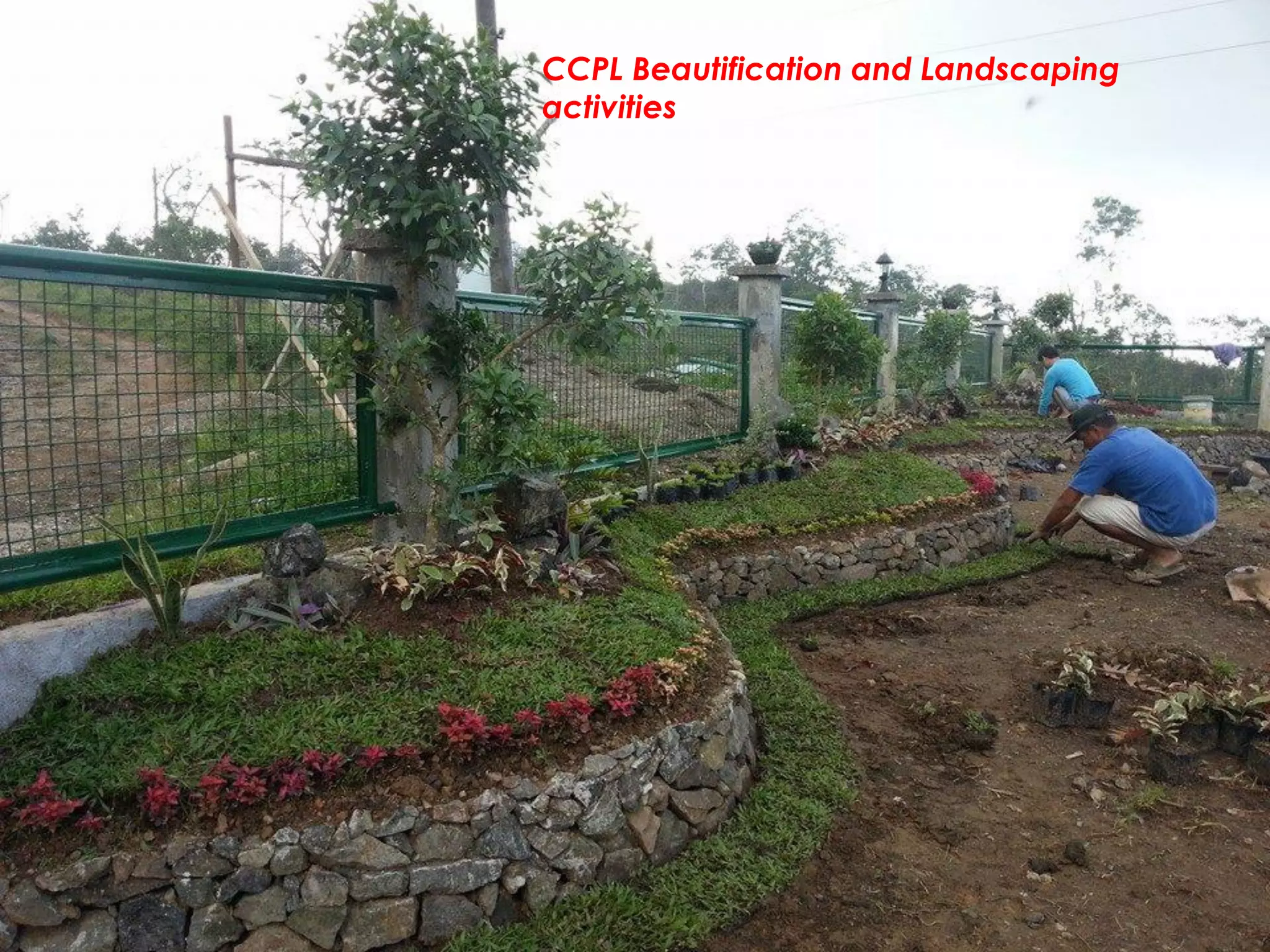 Central Cebu Protected Landscape | PDF