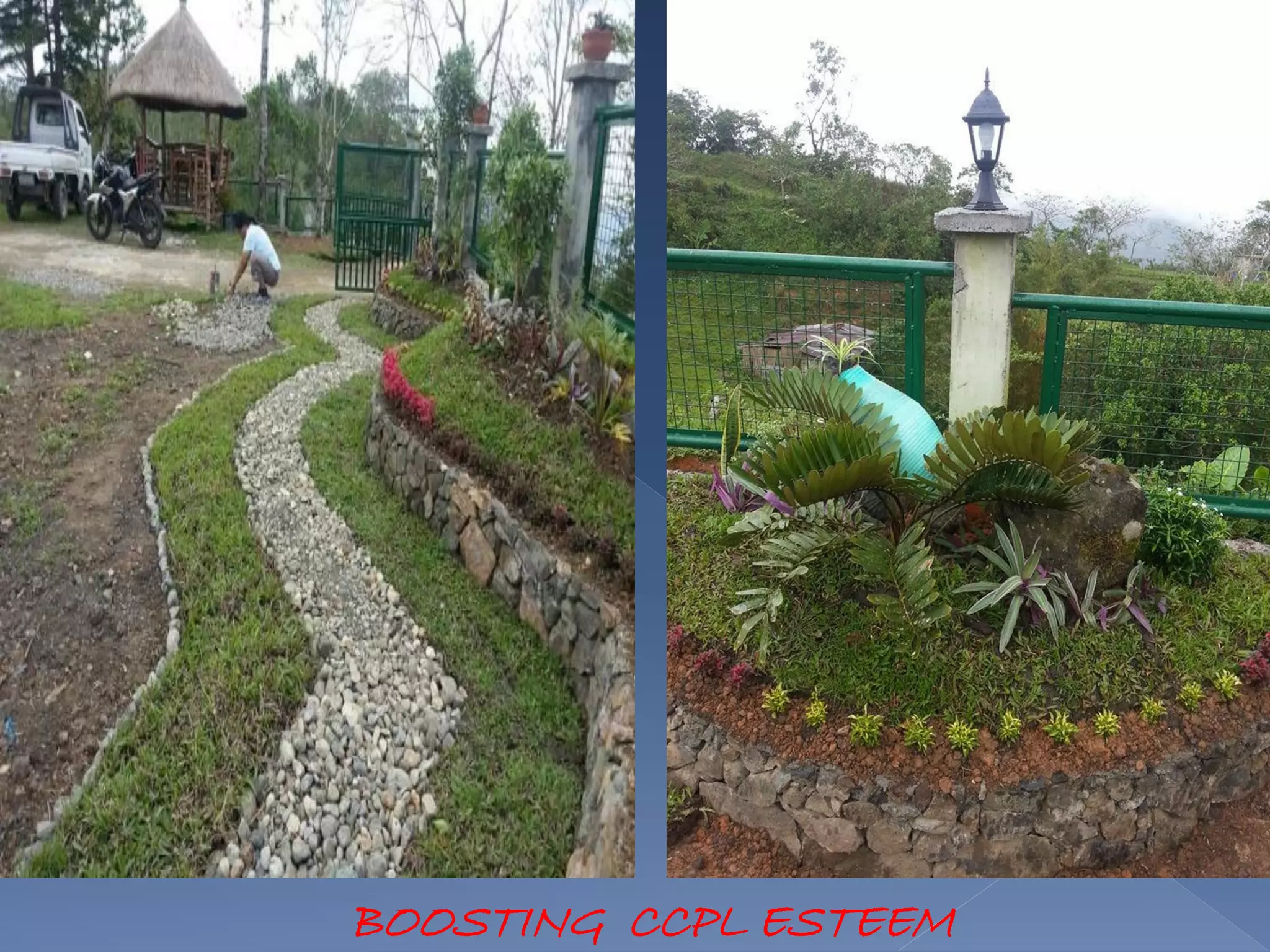 Central Cebu Protected Landscape | PDF