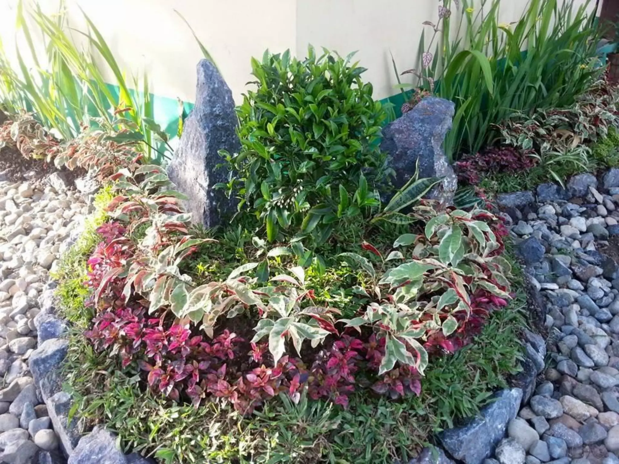Central Cebu Protected Landscape | PDF