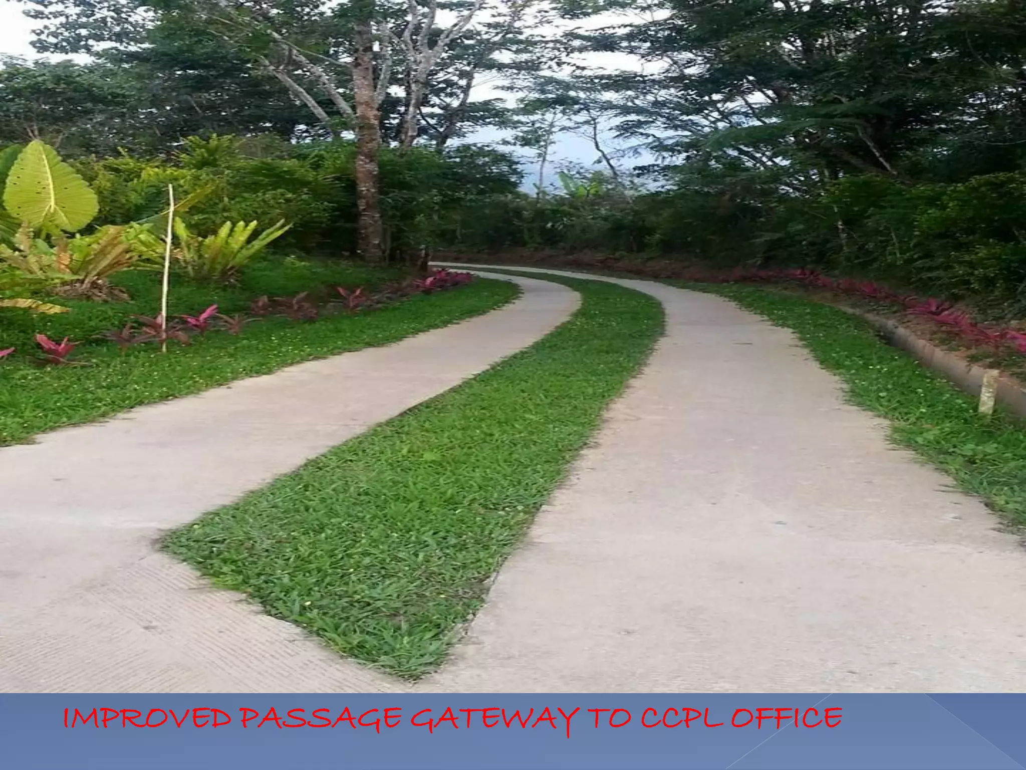 Central Cebu Protected Landscape | PDF