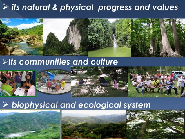 Central Cebu Protected Landscape | PDF | Geography | Science