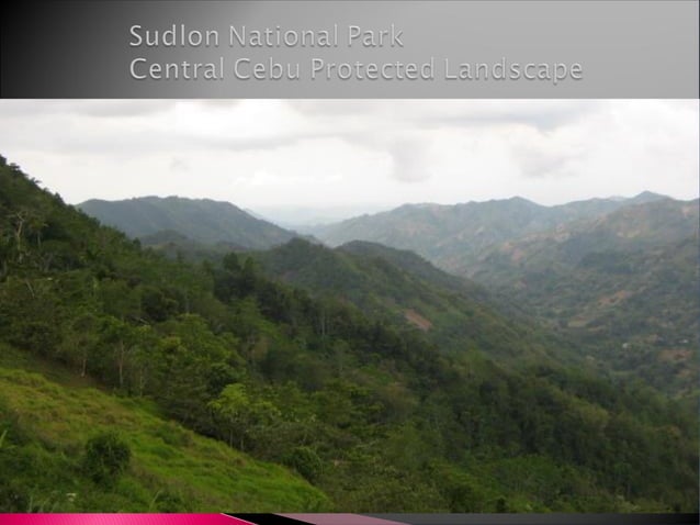 Central Cebu Protected Landscape | PDF | Geography | Science