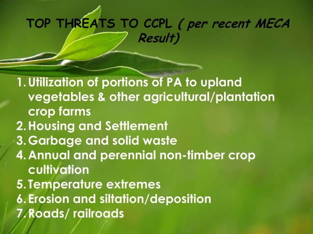 Central Cebu Protected Landscape | PDF | Geography | Science