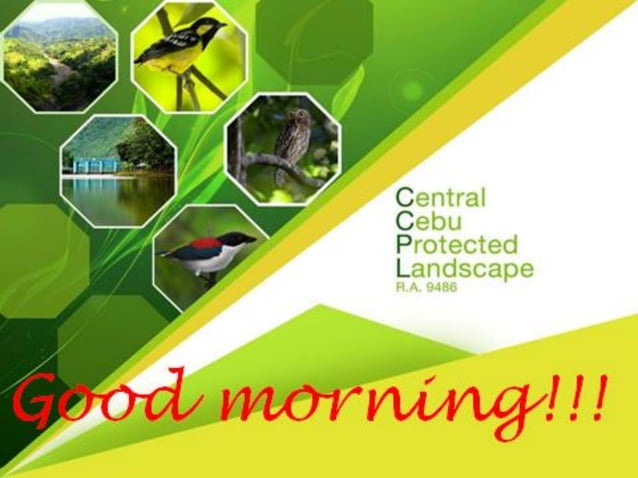 Central Cebu Protected Landscape | PDF | Geography | Science