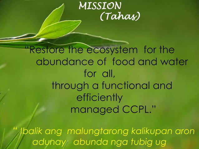 Central Cebu Protected Landscape | PDF | Geography | Science