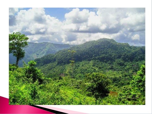 Central Cebu Protected Landscape