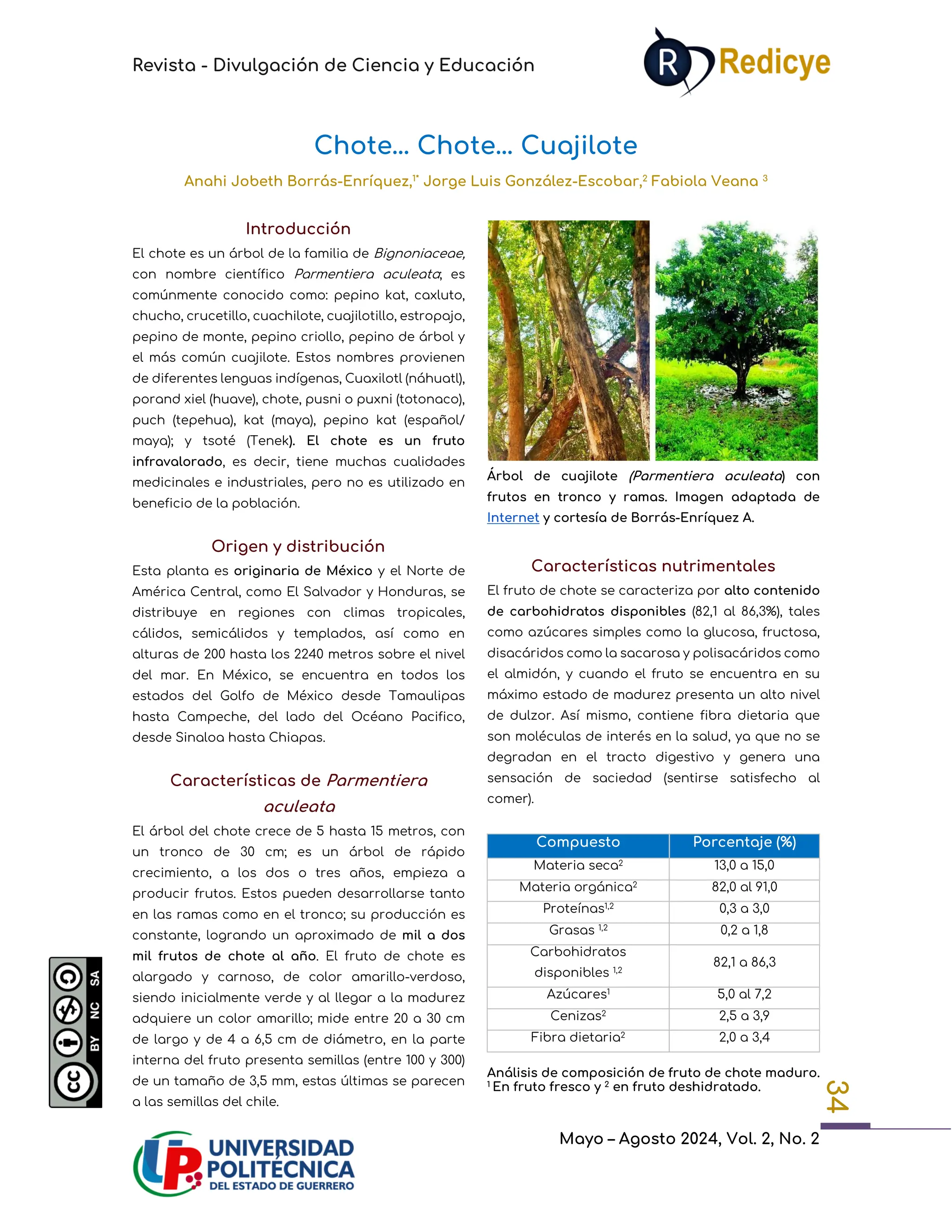 Chote… Chote… Cuajilote | PDF