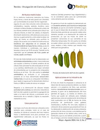Chote… Chote… Cuajilote | PDF