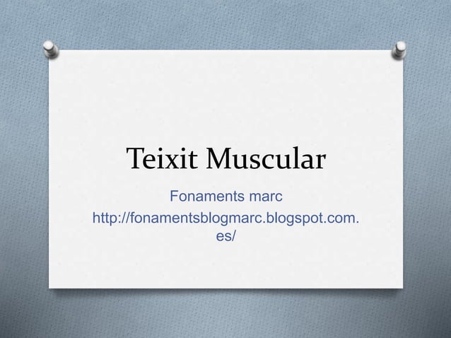 Teixit muscular | PPTX