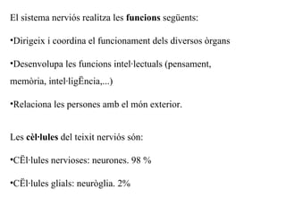 Teixit Nerviós | PPT