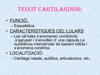 Teixits animals3 | PPT