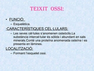 Teixits animals3 | PPT