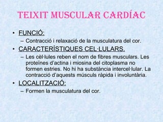 Teixits animals3 | PPT