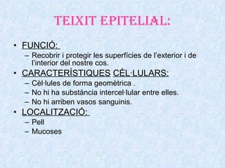 Teixits animals3 | PPT