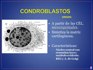 Histologia delTejido Cartilaginoso definiciones | PPTX