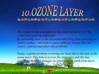 Natural Resources | PPT