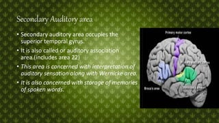 Teja robba pcc | PPTX